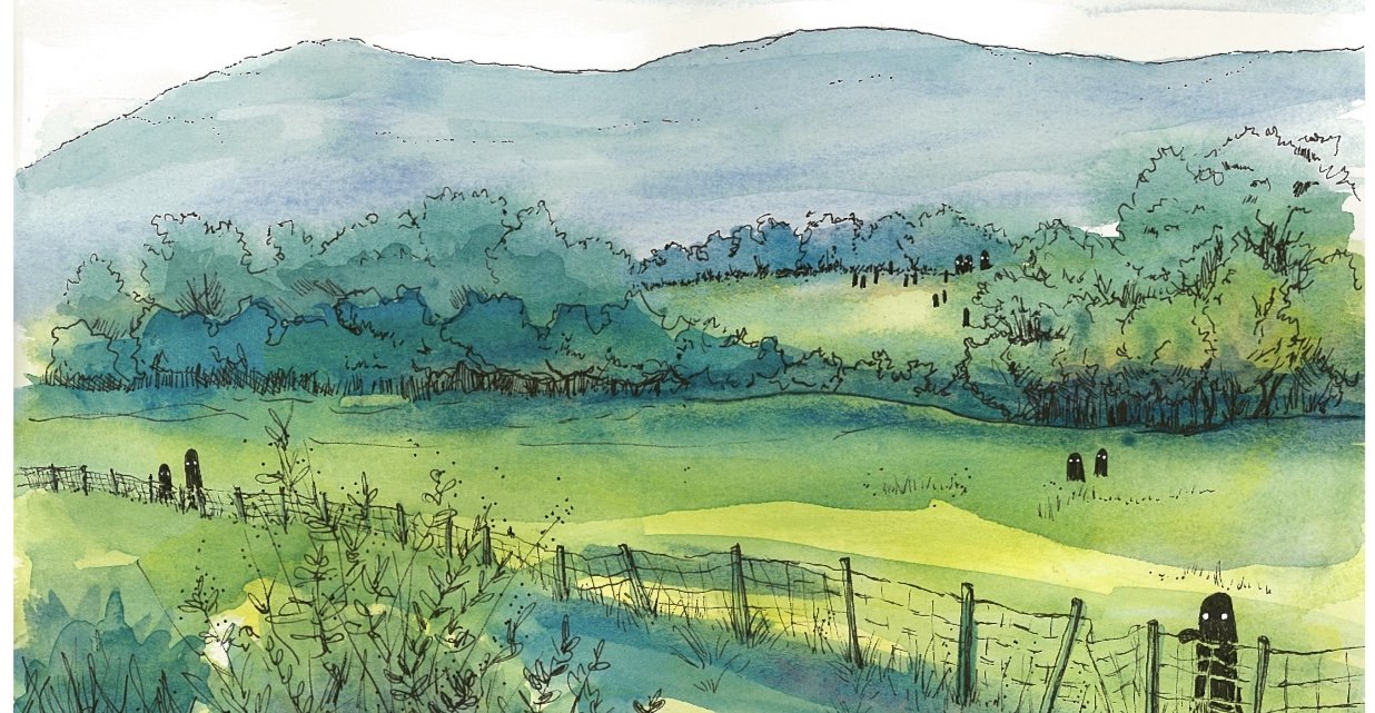 LAURA MORALES STUDIOS