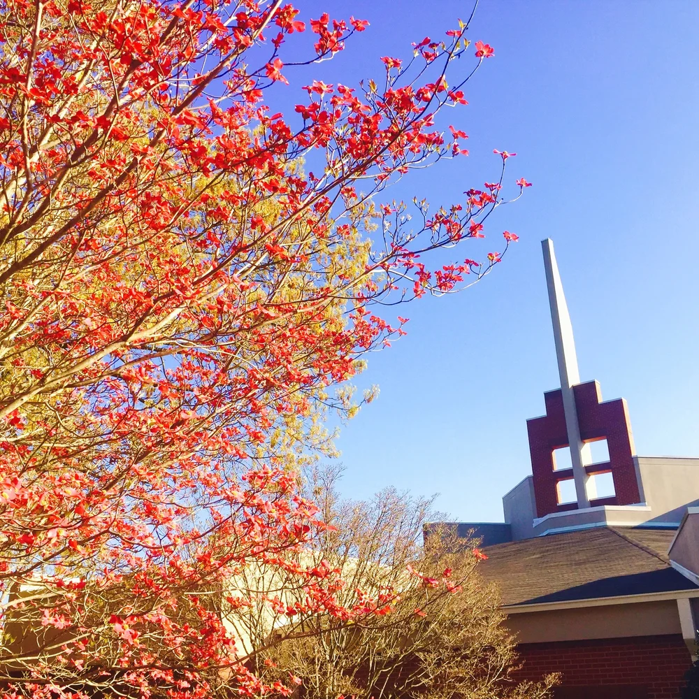 Southeast Faculty — Southeast Institute of Biblical Studies