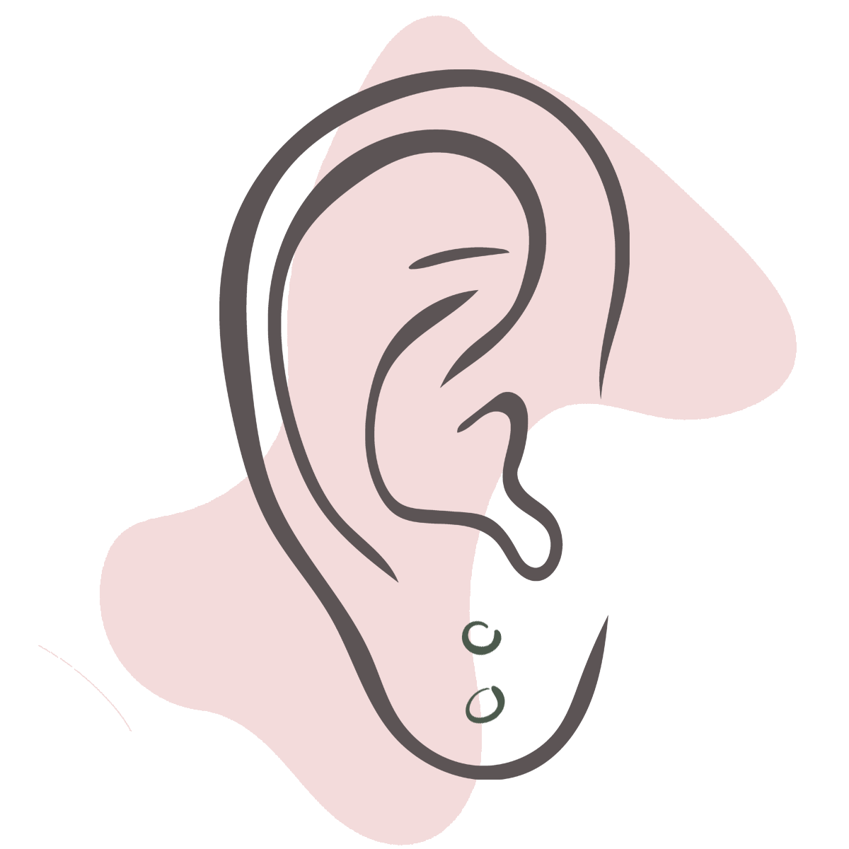 Piercing Types — Brilliance Piercing