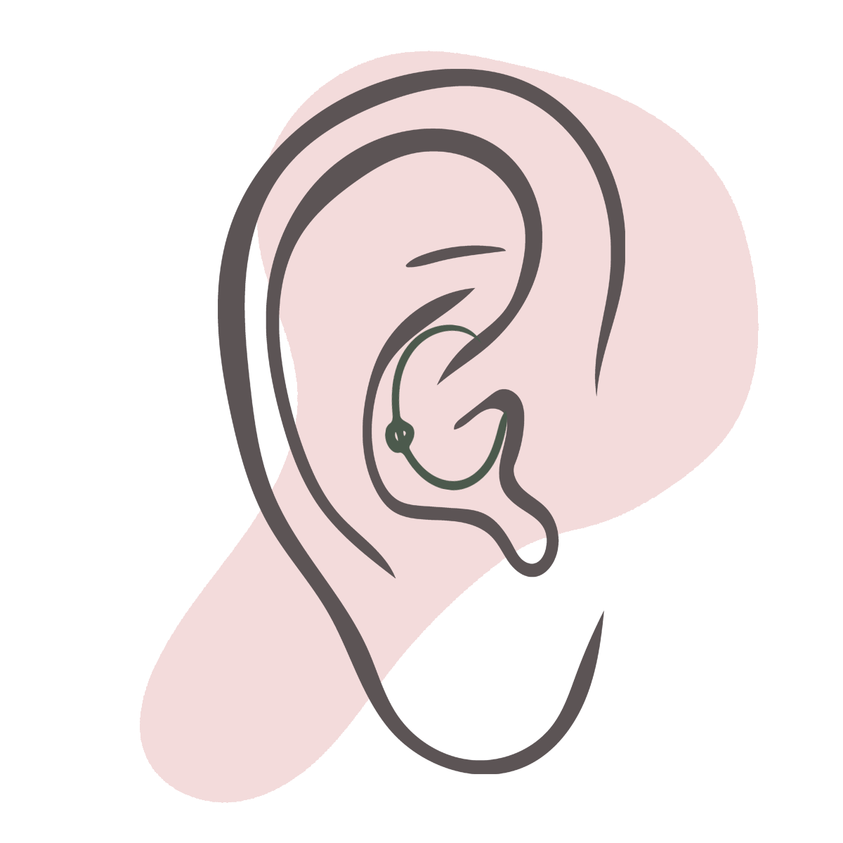 Piercing Types — Brilliance Piercing