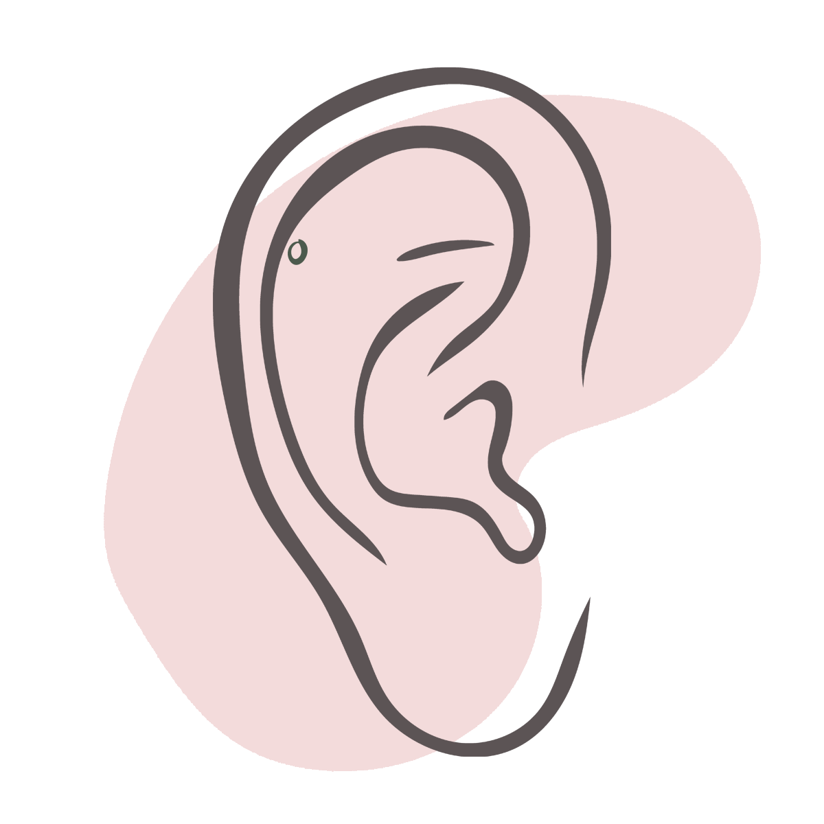 Piercing Types — Brilliance Piercing