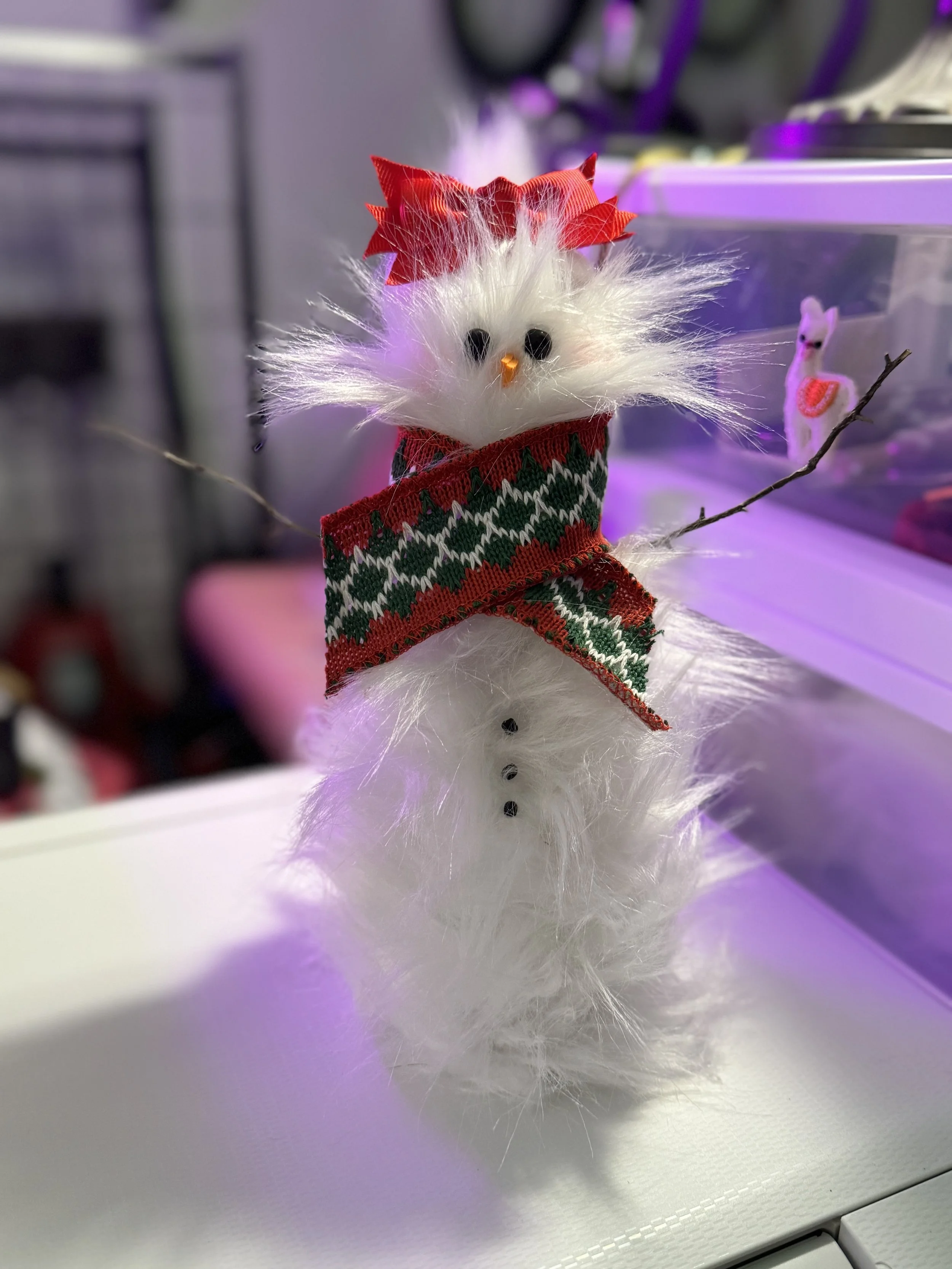 Fuzzy Frazzled Snowman or Whoa-Man! — The Real (RETIRED) Lieutenant Taylor