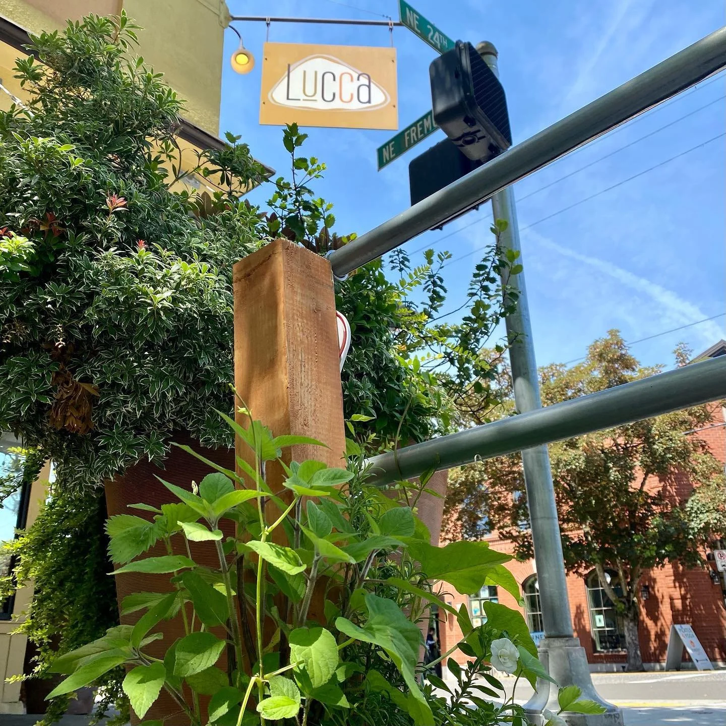 About Us — Lucca