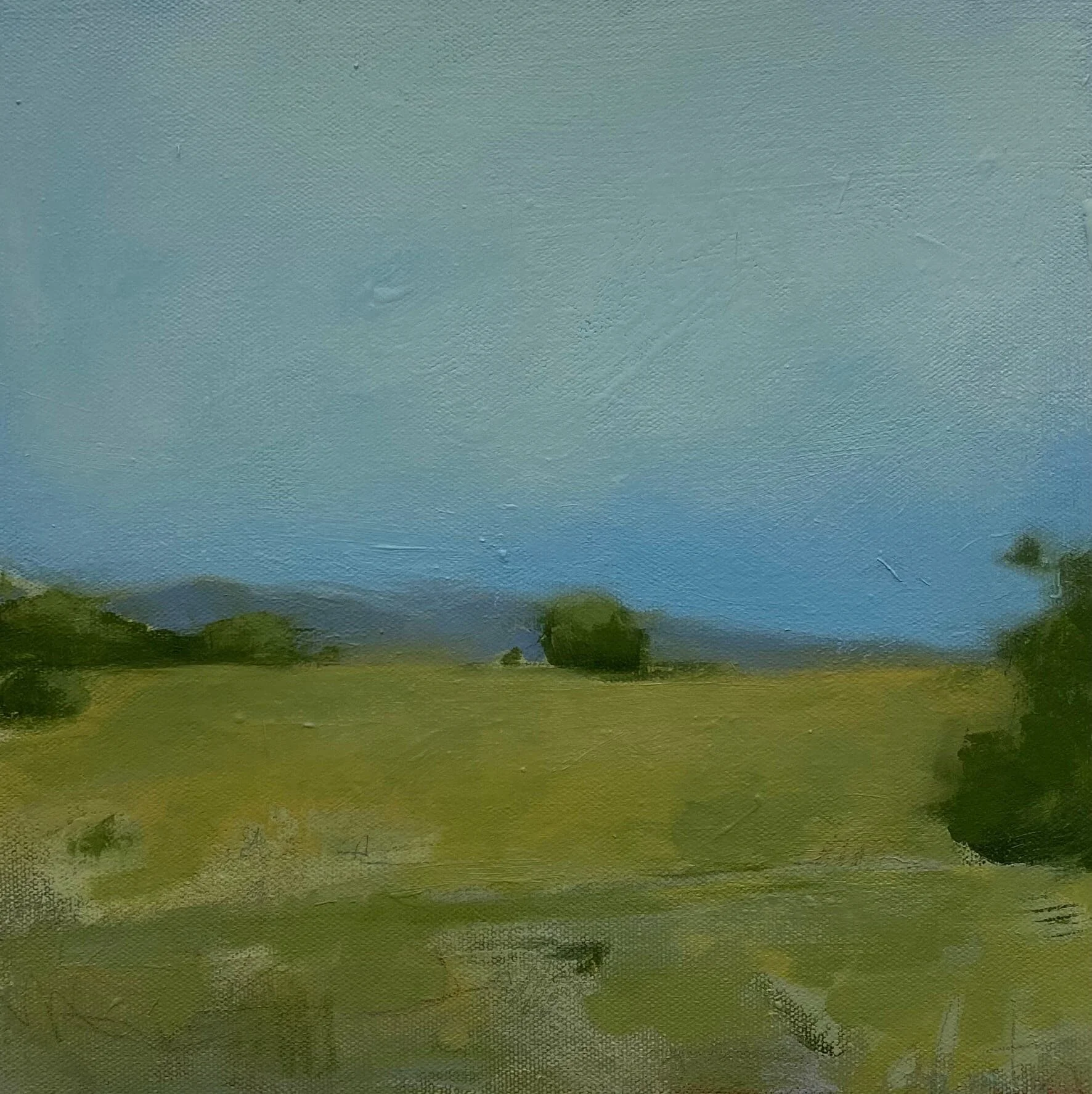 Emily Thomas — Ojai Valley Museum