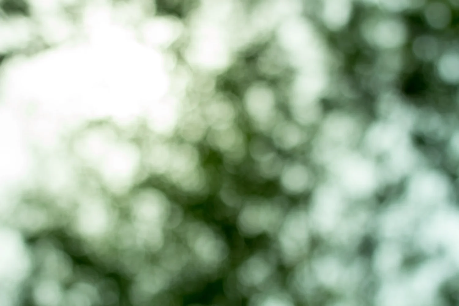 About — Castner Range National Monument