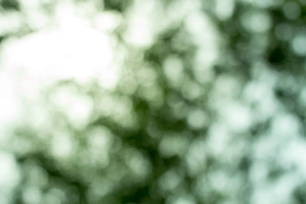 Castner Range National Monument