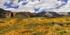 Castner Range National Monument