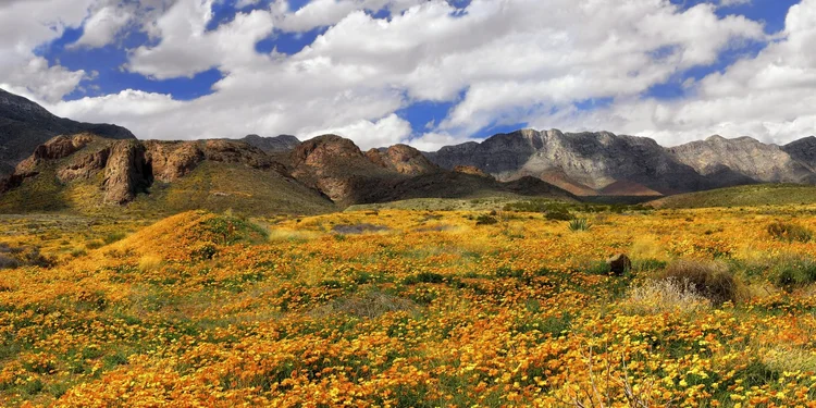 Castner Range National Monument
