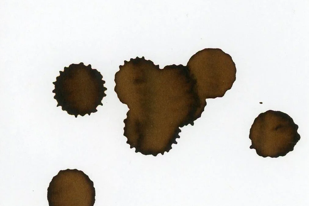 Taccia Tsuchi - Ink Review