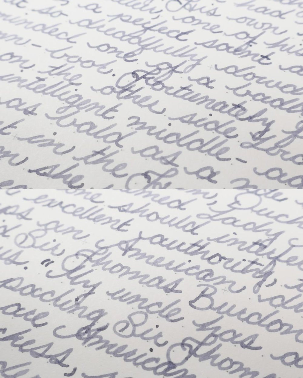 Pilot Iroshizuku Fuyu-syogun - Ink Review