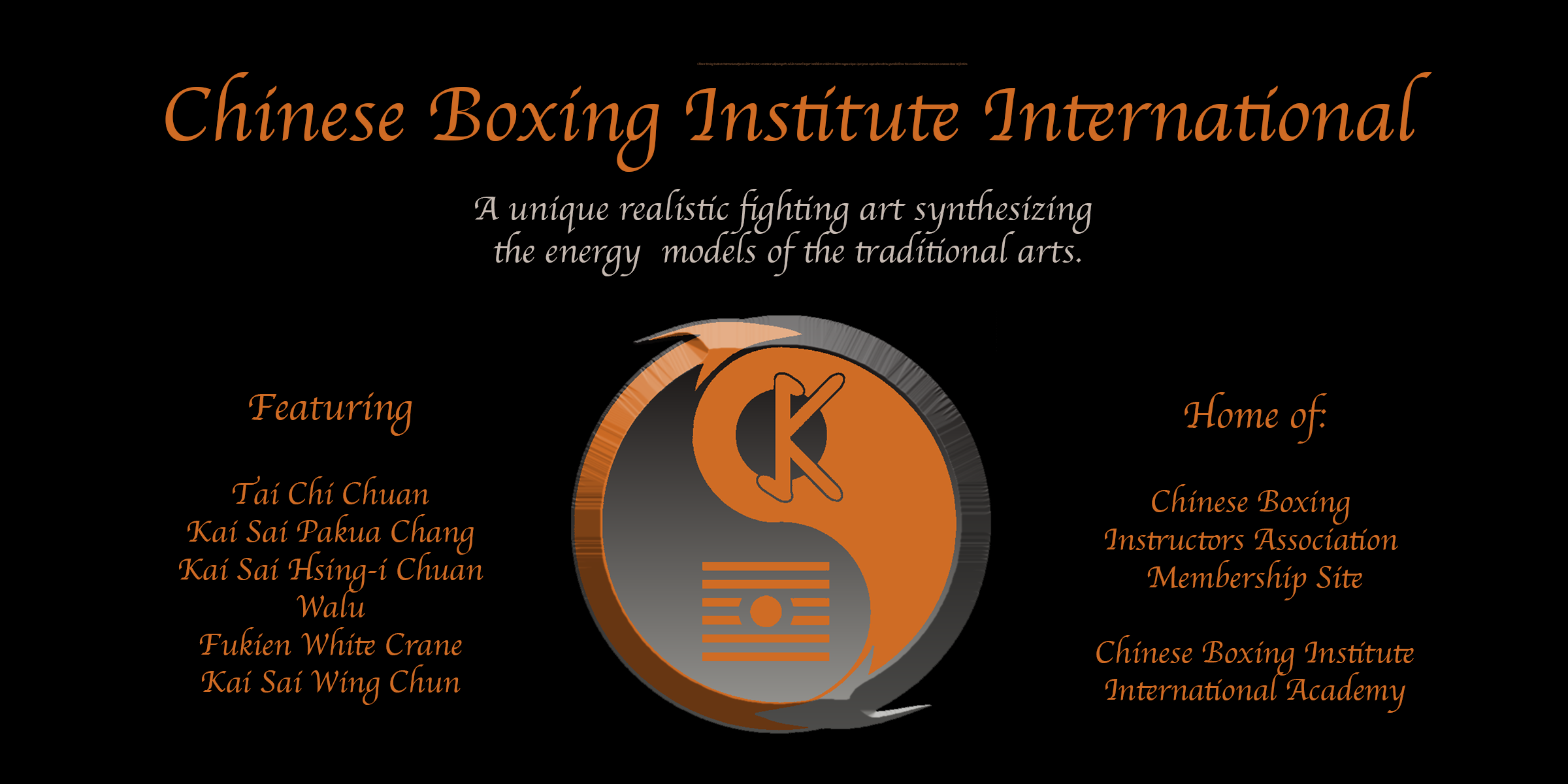 Chinese Boxing Institute International