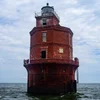 TLC | Support Lighthouse Conservation