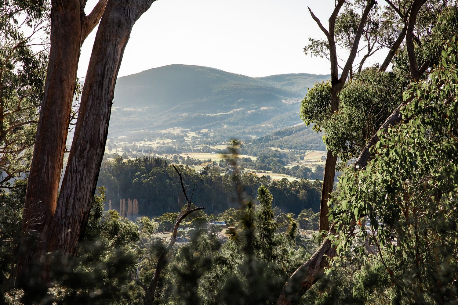 Luxury Accommodation, Huon Valley Tasmania