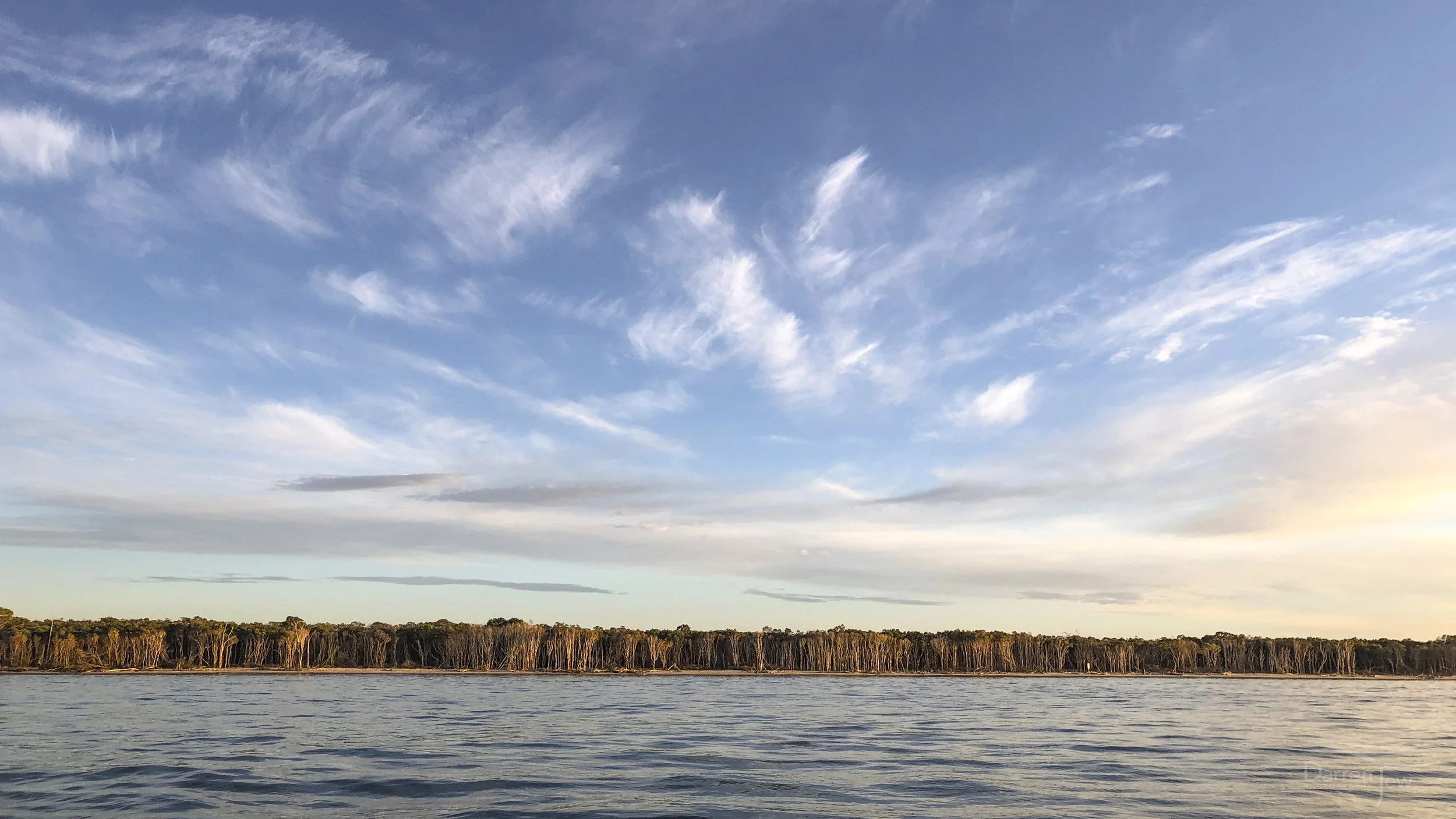 About Us — Bribie Island Nature Festival