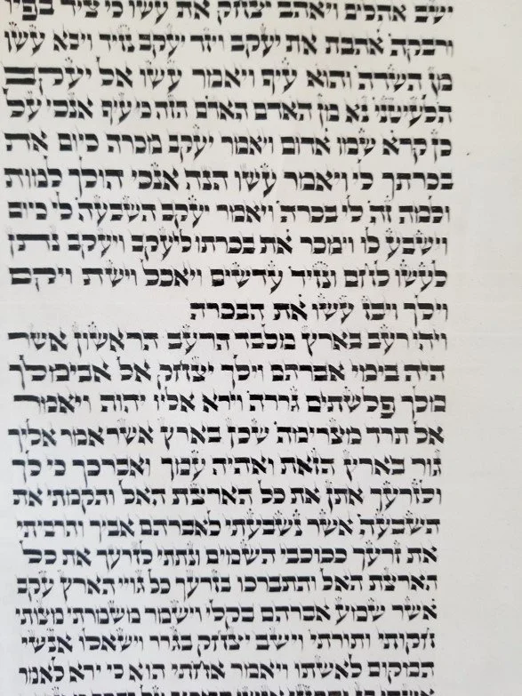 Scroll Repair — Julie Seltzer, Hebrew Scribe