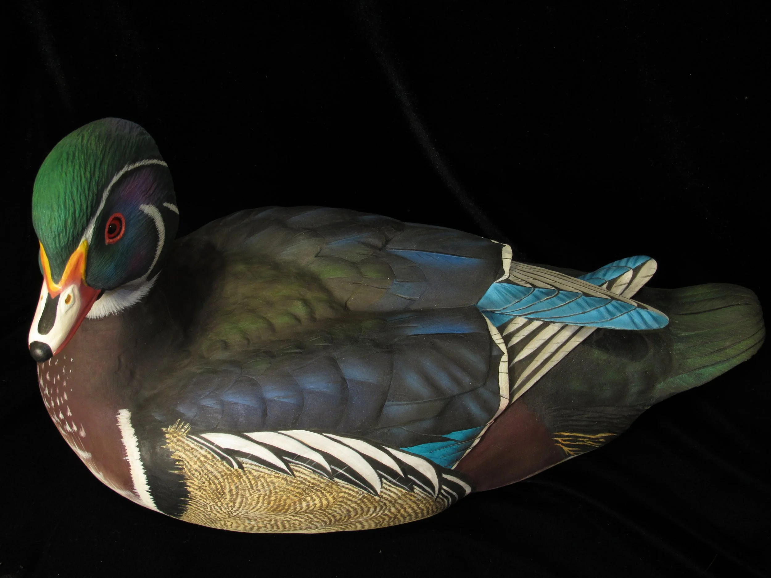 Wood Duck — Birds in Wood