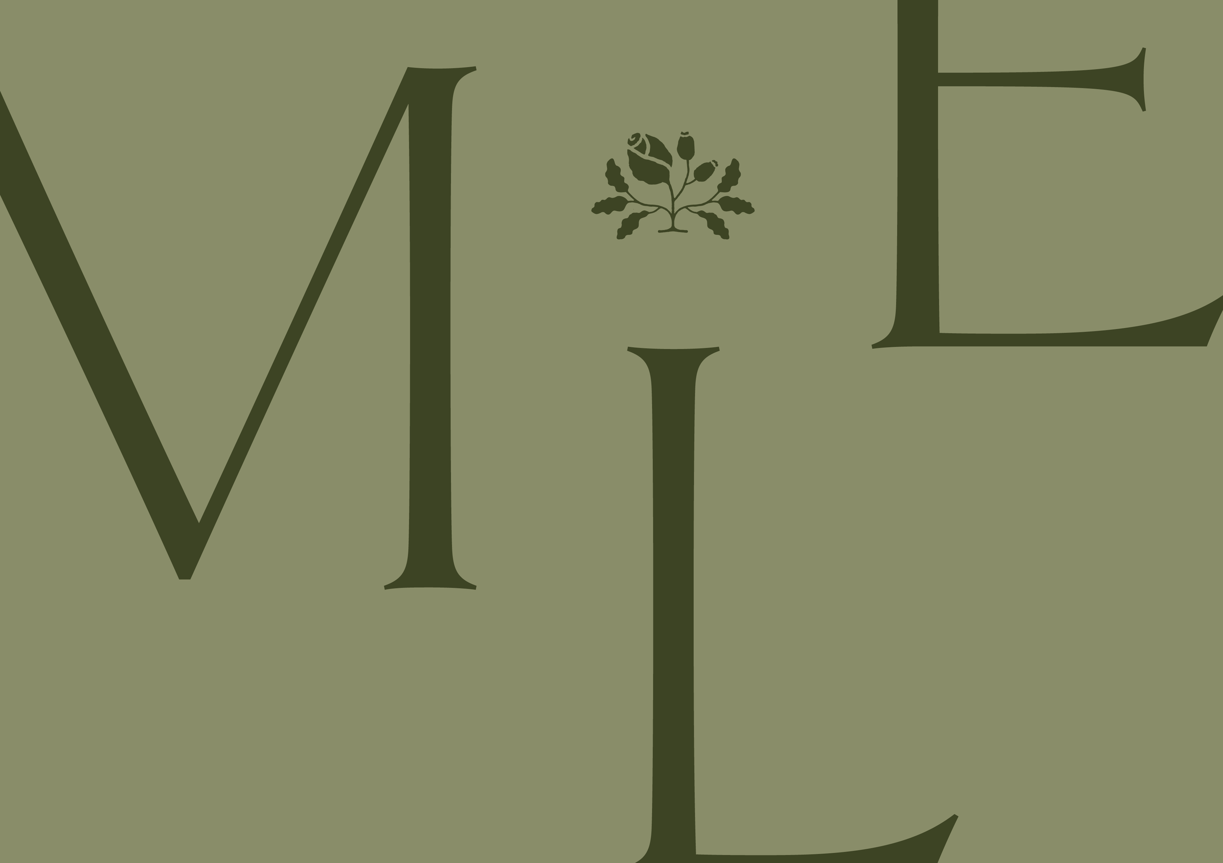 Brand Identity and Creative Direction for Middleton Lodge Yorkshire ...