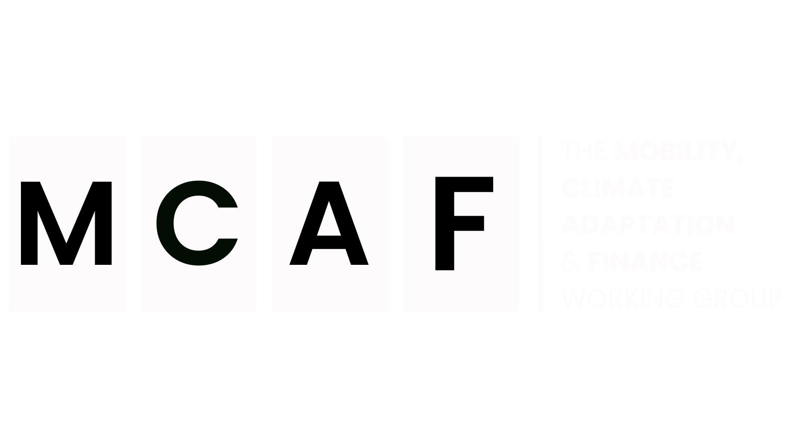 The Working Group on Mobility, Climate Adaptation & Finance