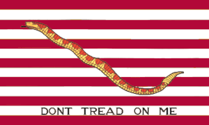American Flag Stories