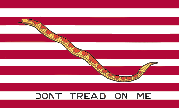 American Flag Stories