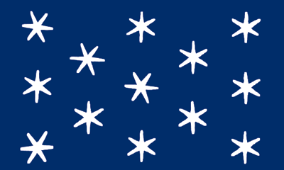 Washington’s Commander-in-Chief or Headquarters Flag — American Flag ...