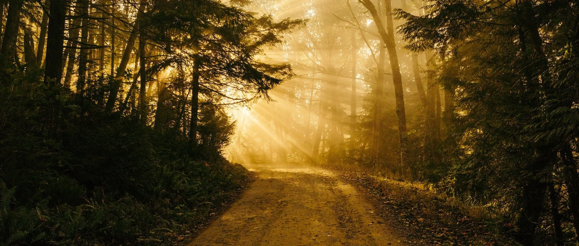 Trailhead Counseling Center