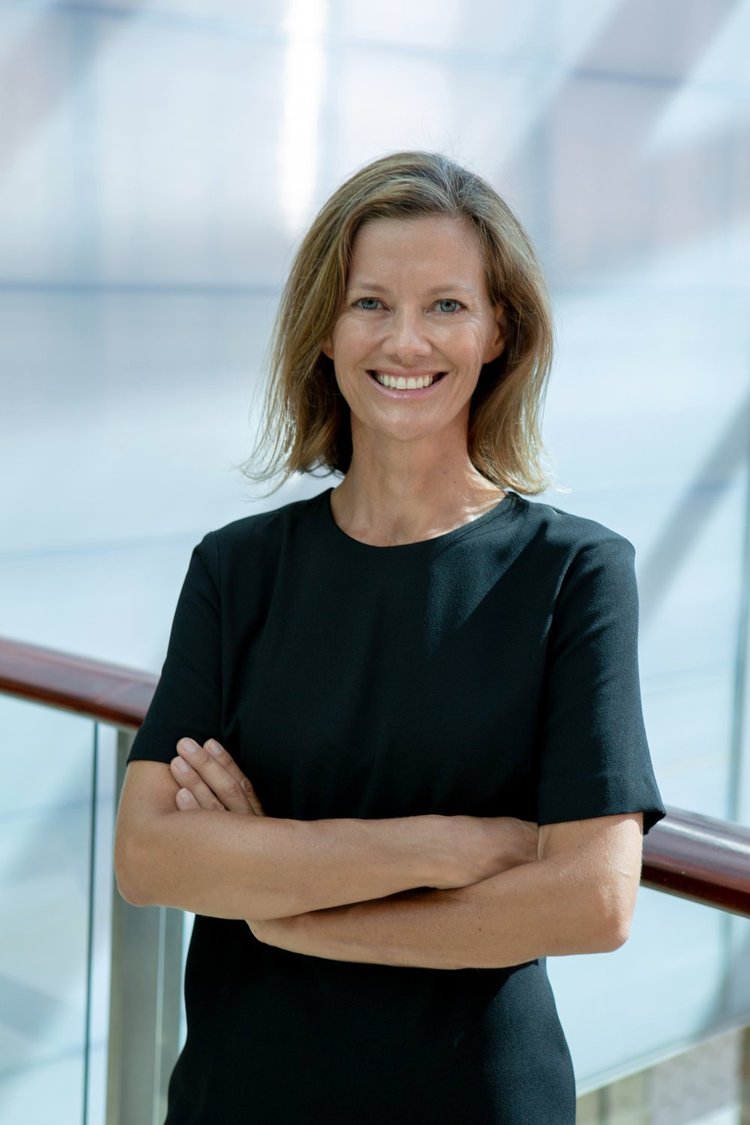 The Demographics Group