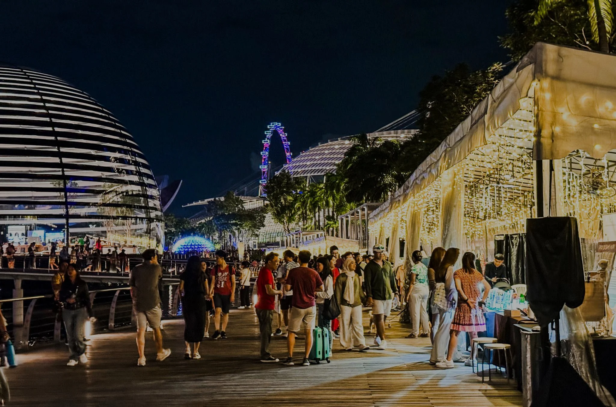The Conscious Festival