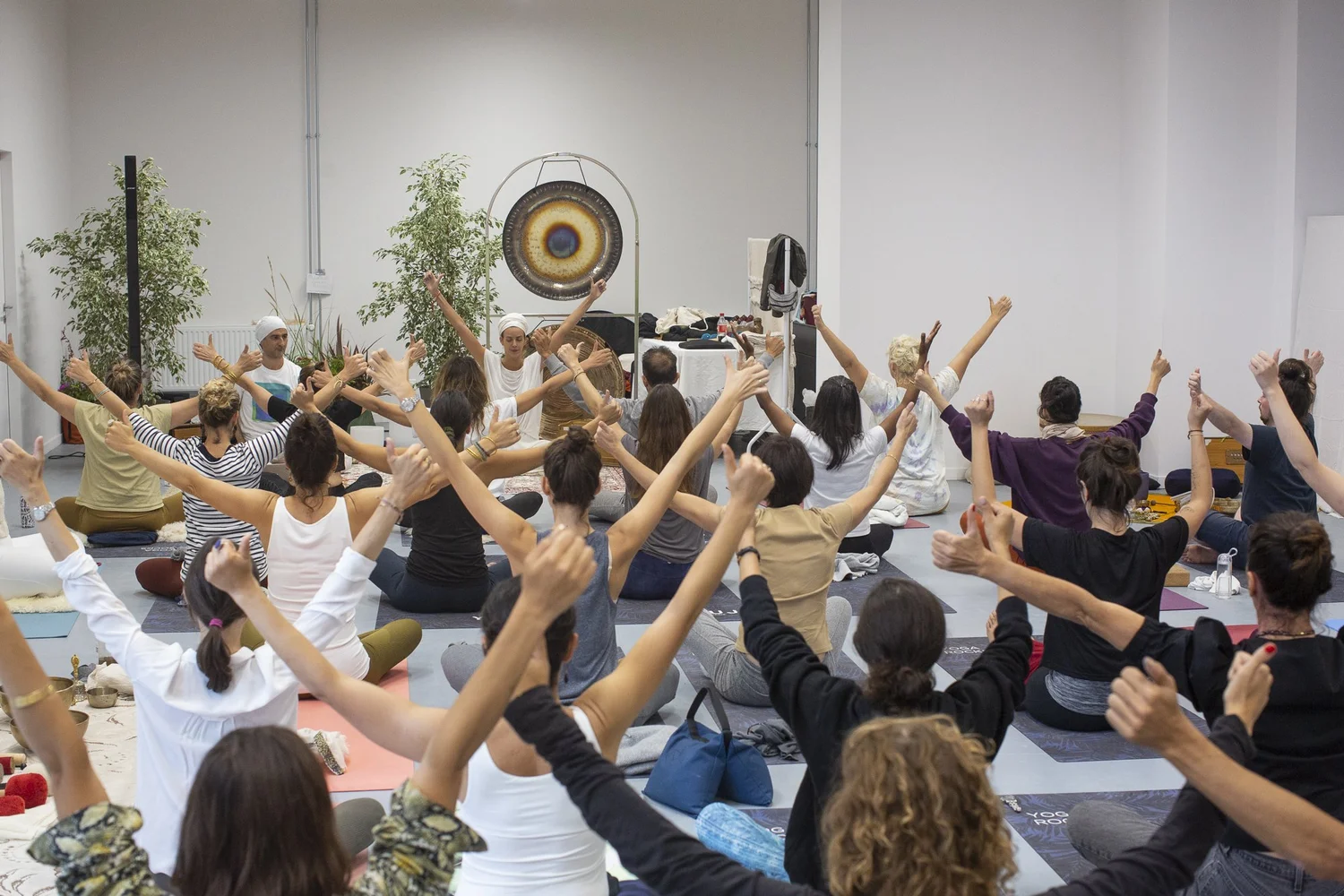 The Conscious Festival