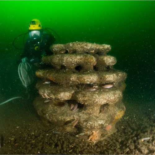 Artificial Reef Units for Fish Habitat | REEF DESIGN LAB