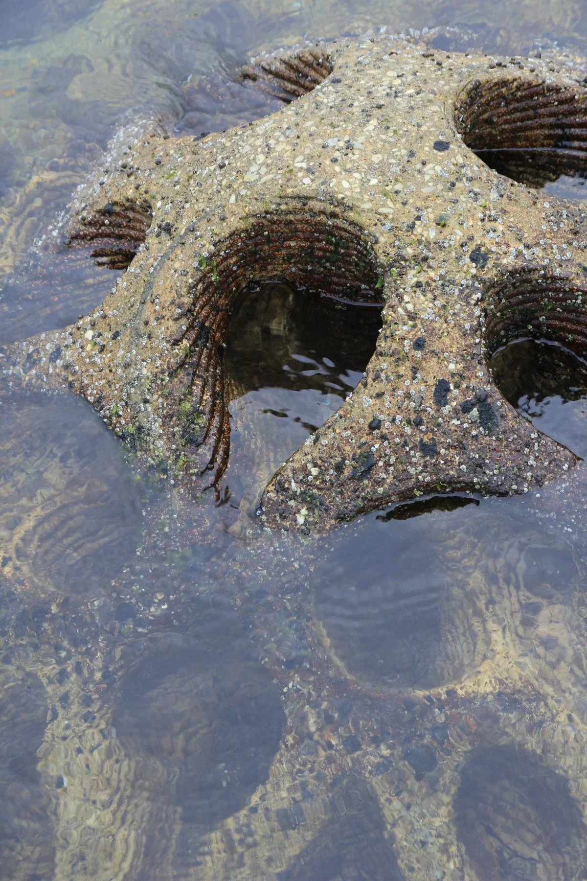 Erosion Mitigation Units (EMU) | REEF DESIGN LAB
