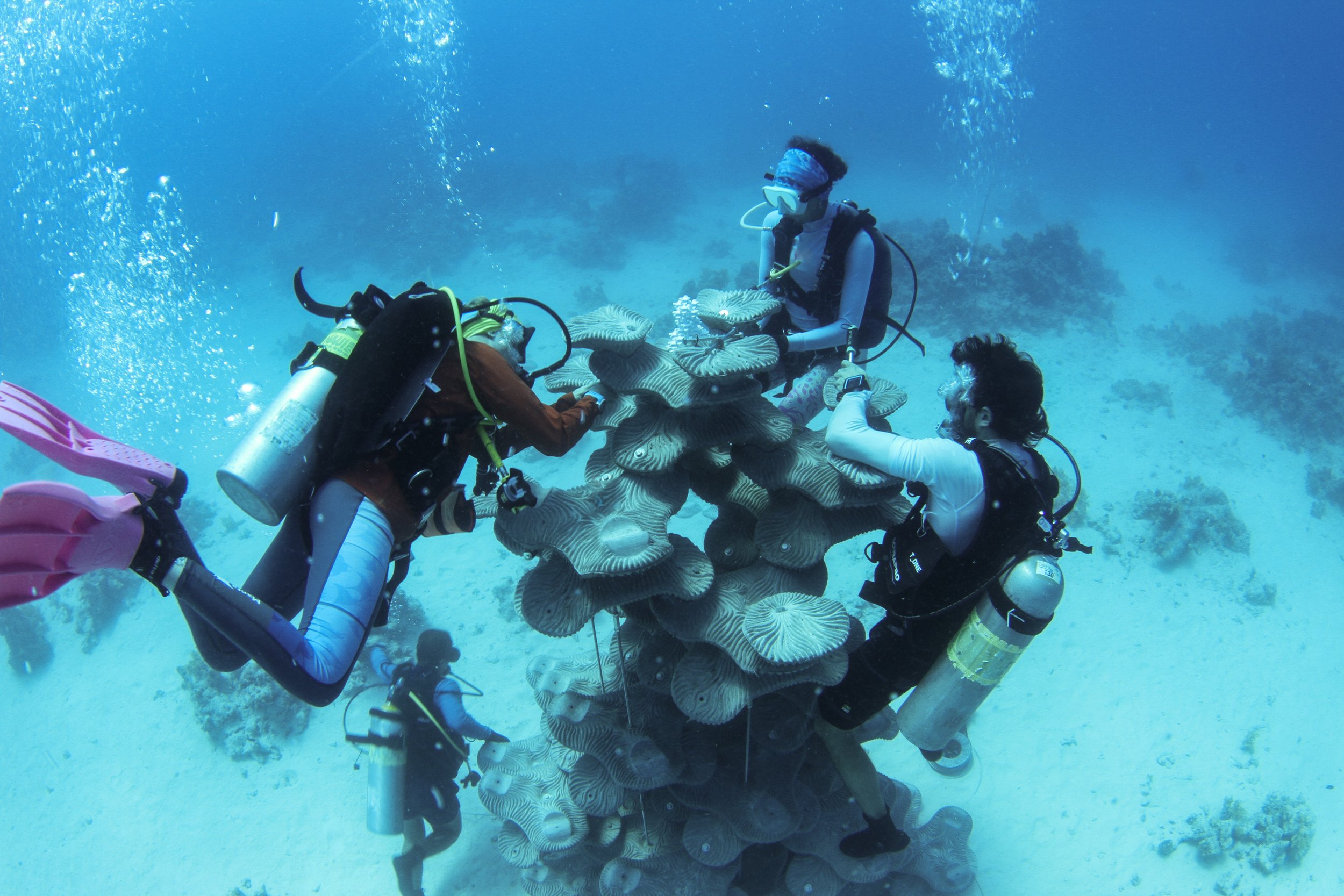 Modular Artificial Reef Structure II (MARS II) | REEF DESIGN LAB