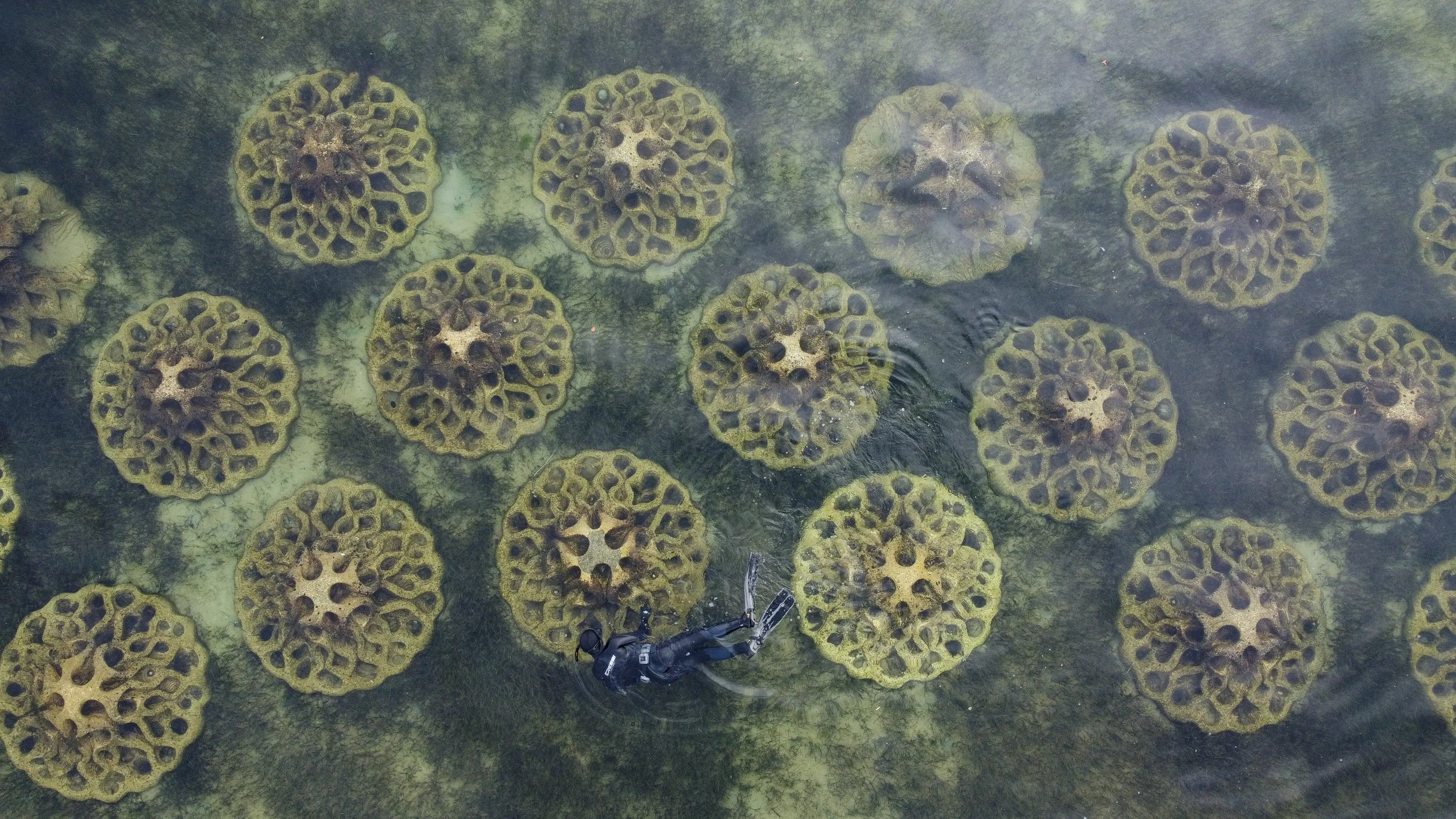 Erosion Mitigation Units (EMU) | REEF DESIGN LAB