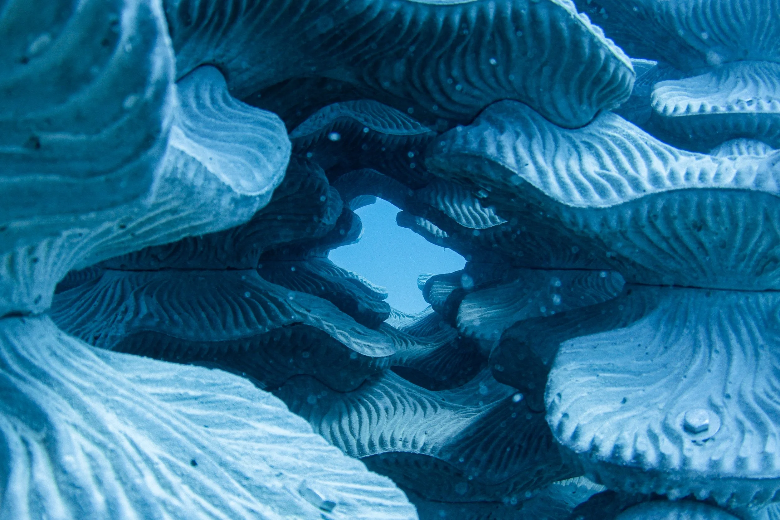 PRODUCTS | REEF DESIGN LAB