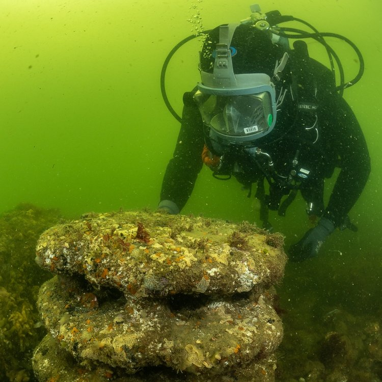 PRODUCTS | REEF DESIGN LAB