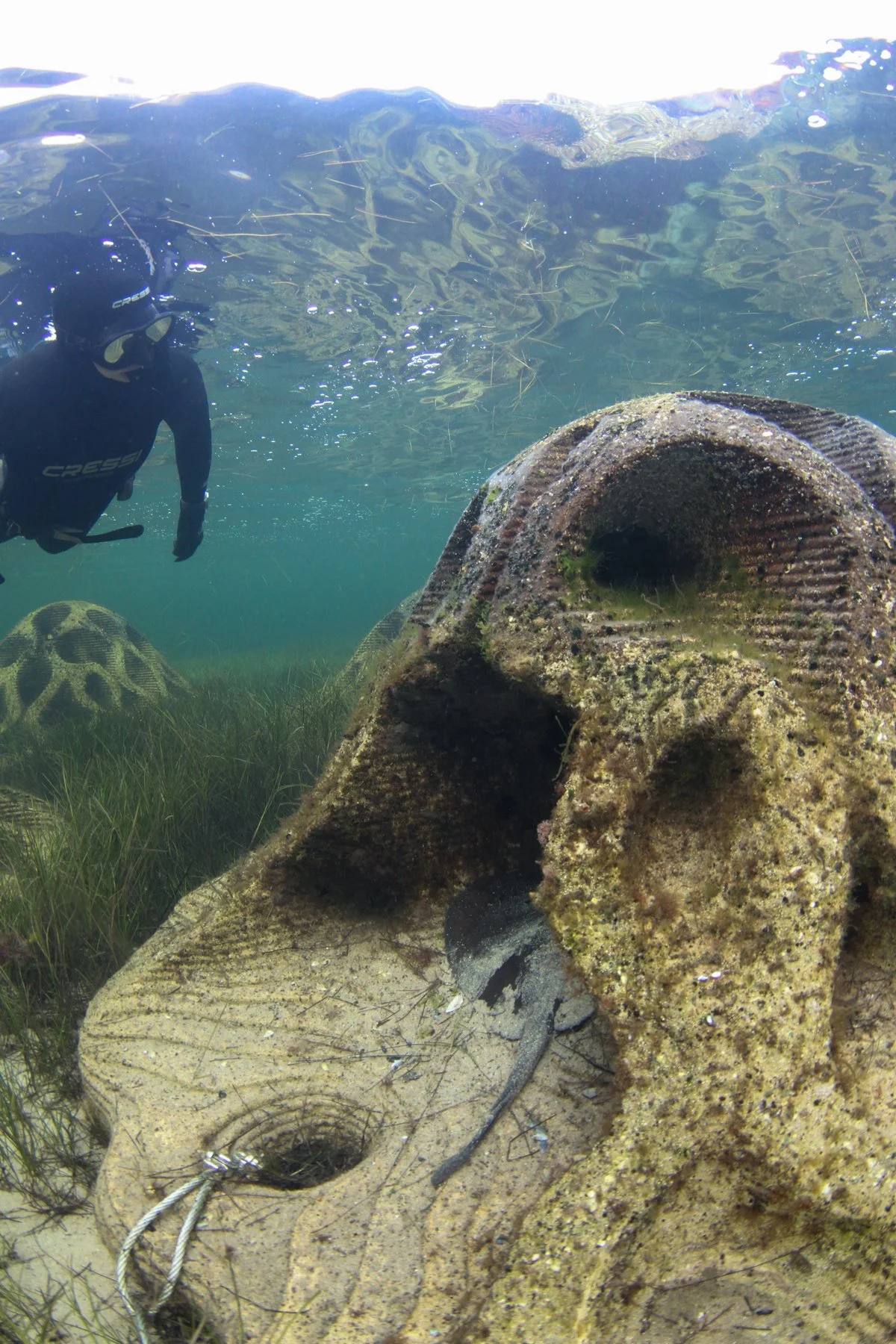 Erosion Mitigation Units (EMU) | REEF DESIGN LAB