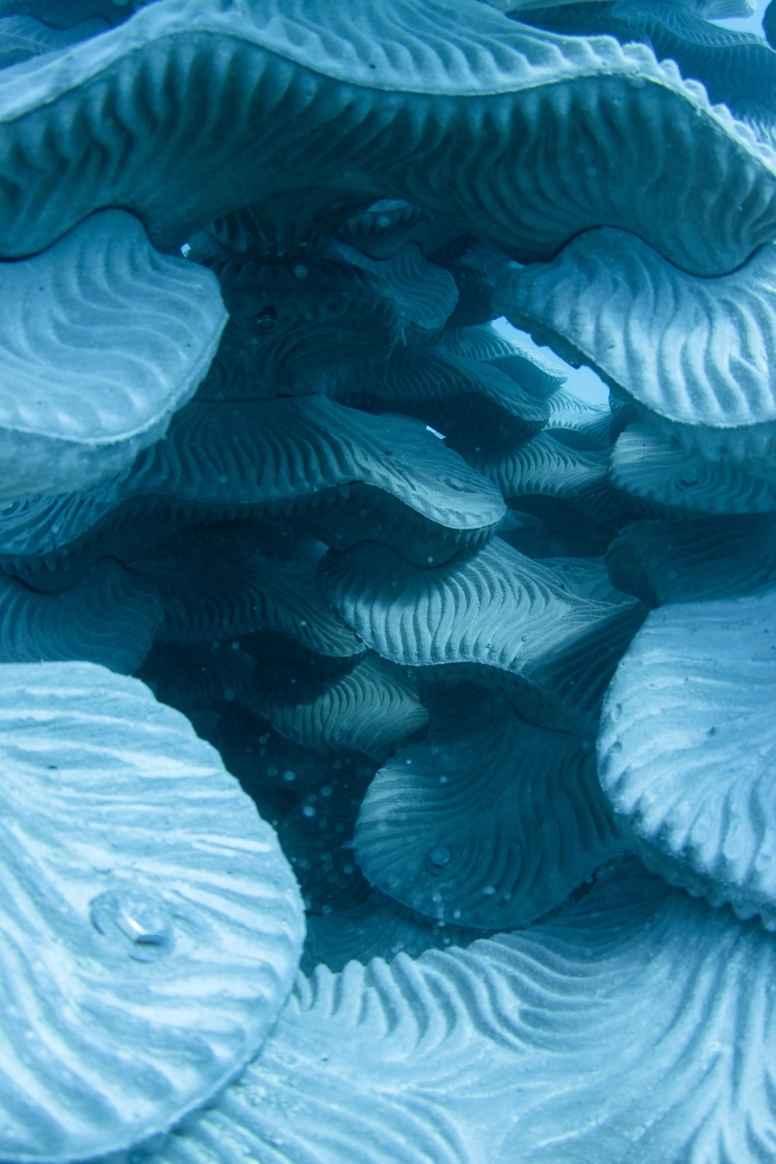 Modular Artificial Reef Structure II (MARS II) | REEF DESIGN LAB