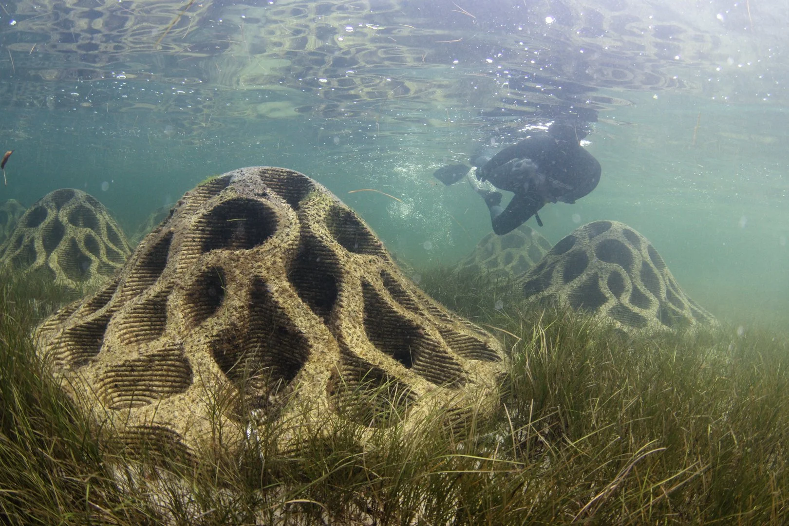 REEF DESIGN LAB | Artificial Reefs & Marine Infrastructure Solutions