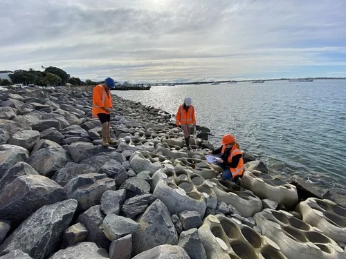 Living Seawalls | REEF DESIGN LAB