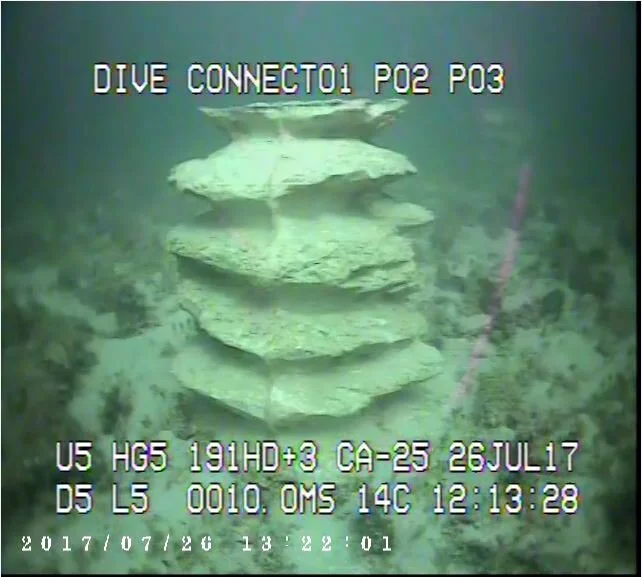 Artificial Reef Units for Fish Habitat | REEF DESIGN LAB