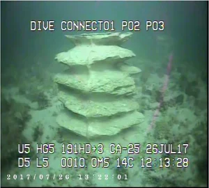 Artificial Reef Units for Fish Habitat | REEF DESIGN LAB