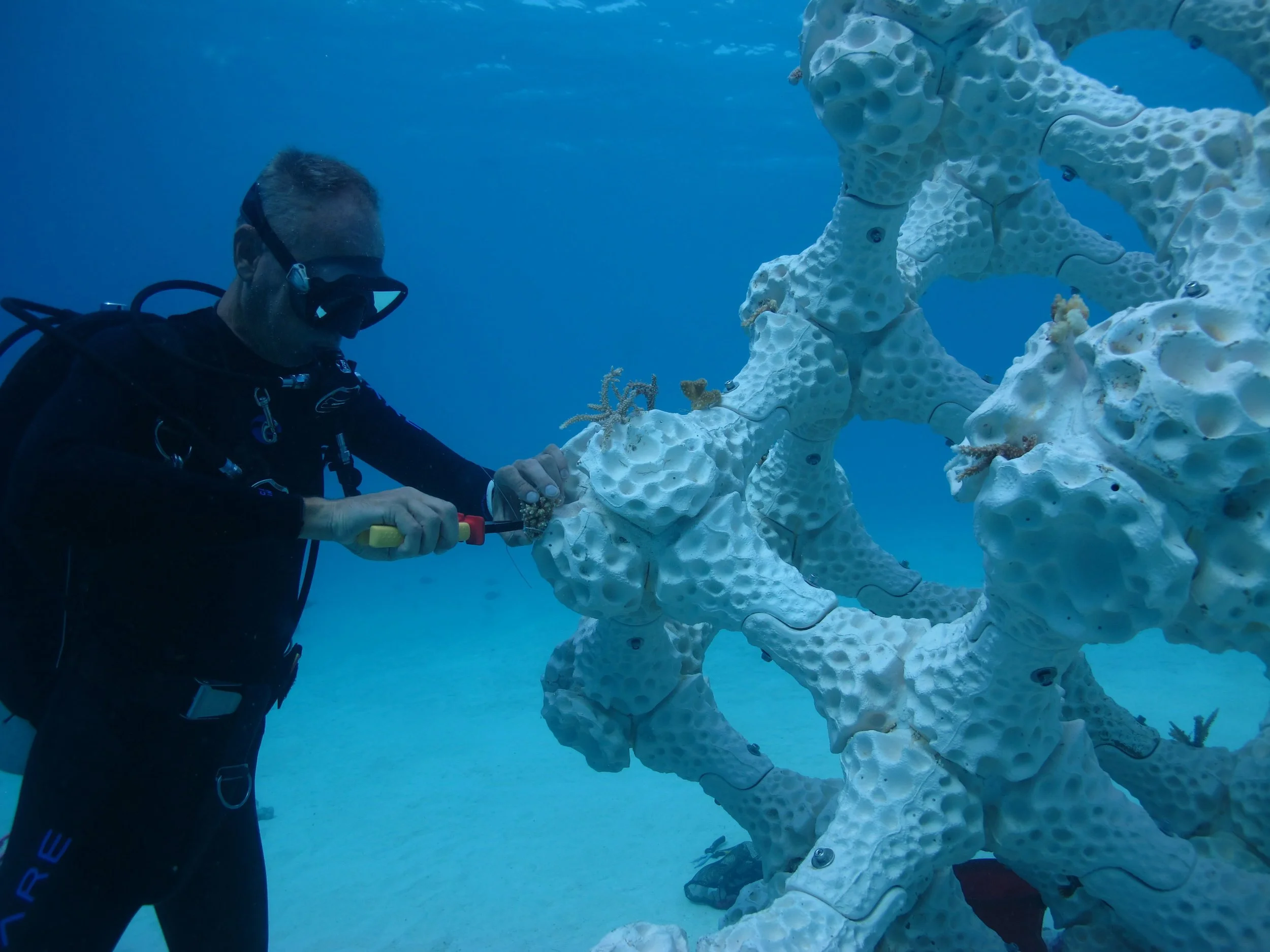 Modular Artificial Reef Structure (MARS) | REEF DESIGN LAB