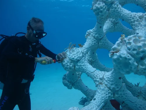 Modular Artificial Reef Structure (MARS) | REEF DESIGN LAB