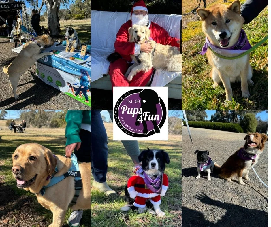 A cracker of a day! — Pupoon - Dog poop solved