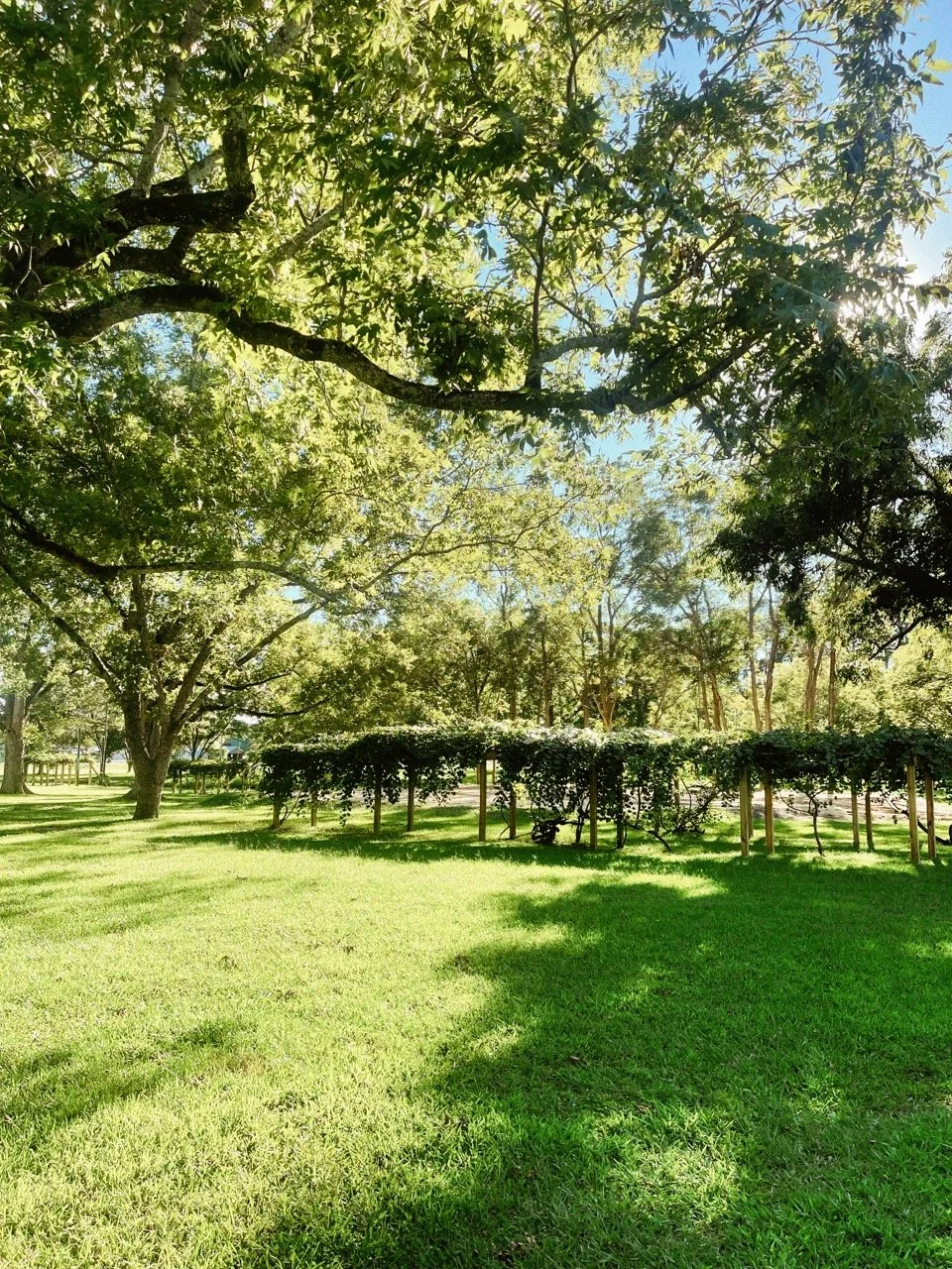 Beautiful wedding venue in Oriental, North Carolina
