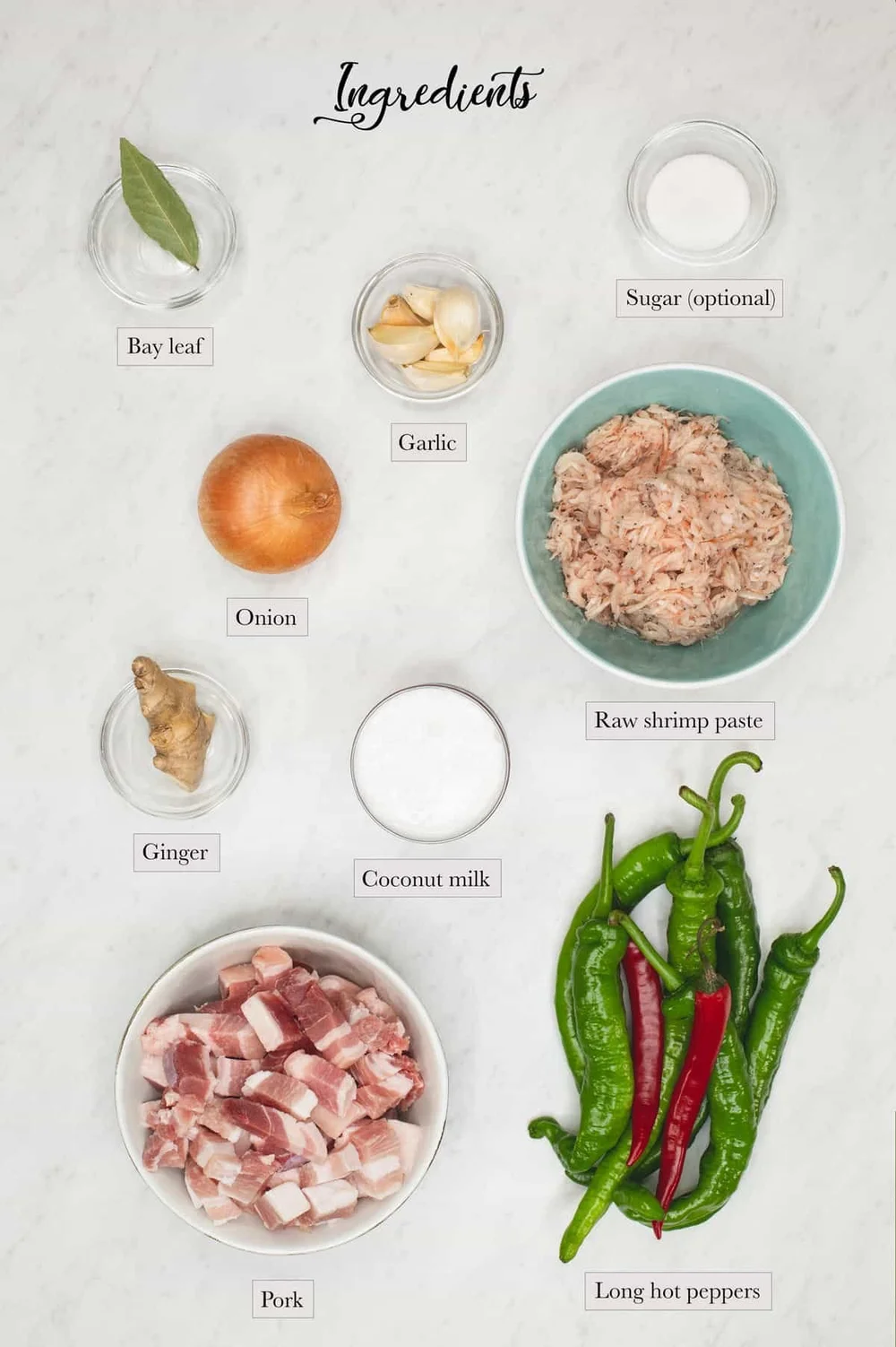 Bicol Express Expedition: Spicy Delights from Bicol — Pinoy Kitchen