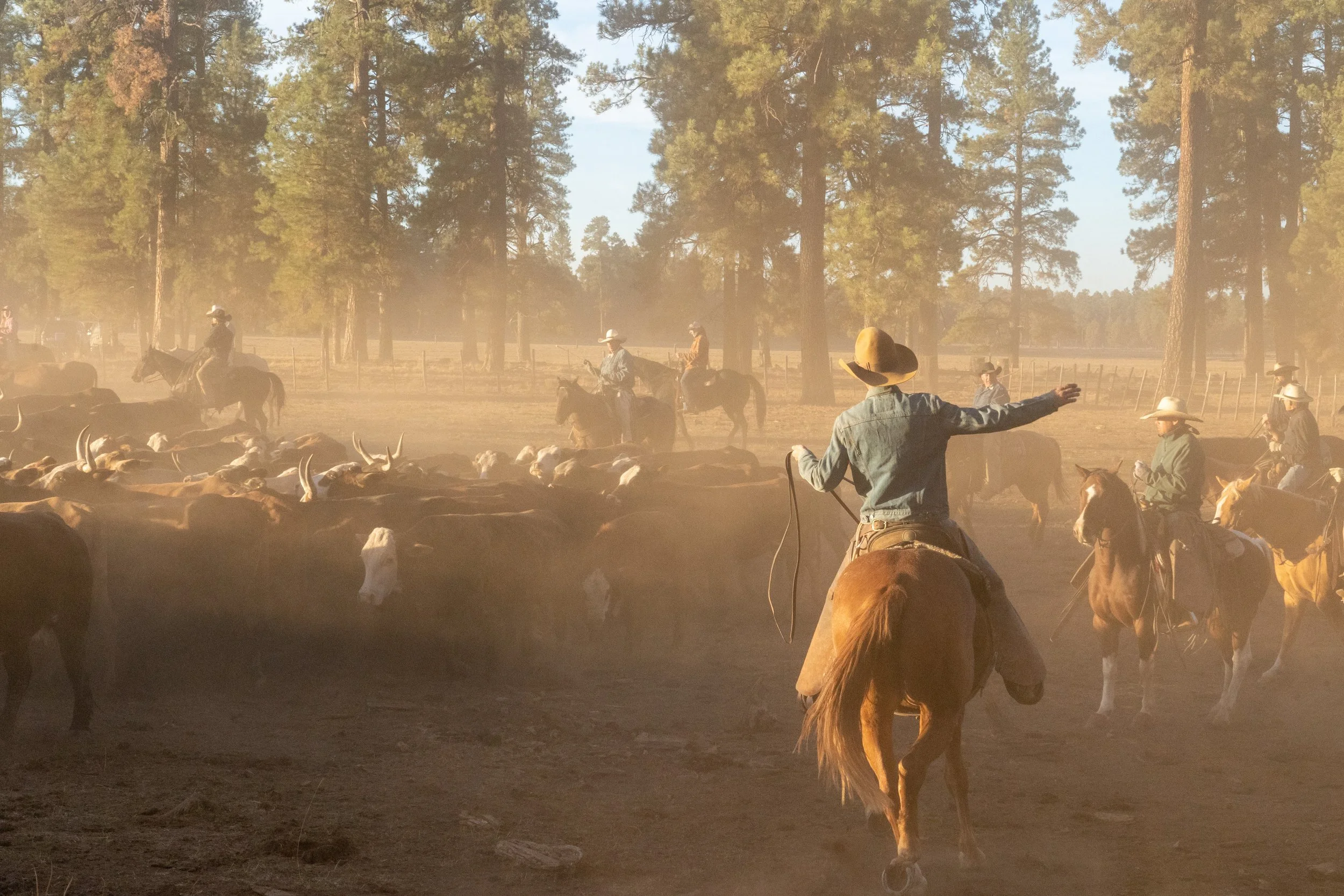 Windmill Mountain Ranch | Natural Arizona Raised Beef | Premium Quality ...