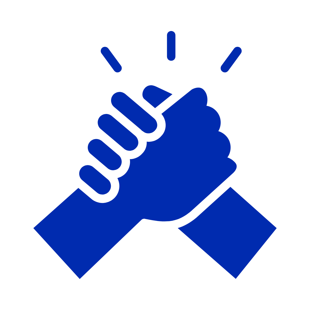 Mission & Values — Dragon Divas of Minnesota