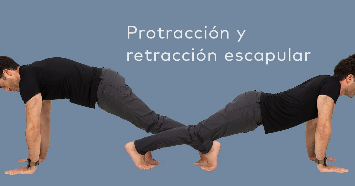 Ejercicios de fortalecimiento muscular para la cintura escapular — Sõoth