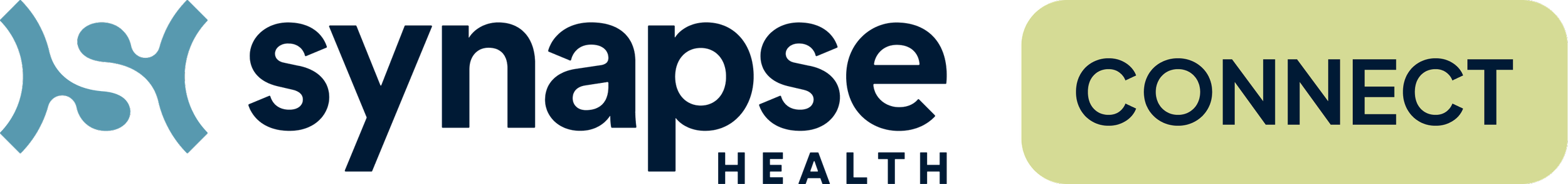 Synapse Connect — Synapse Health